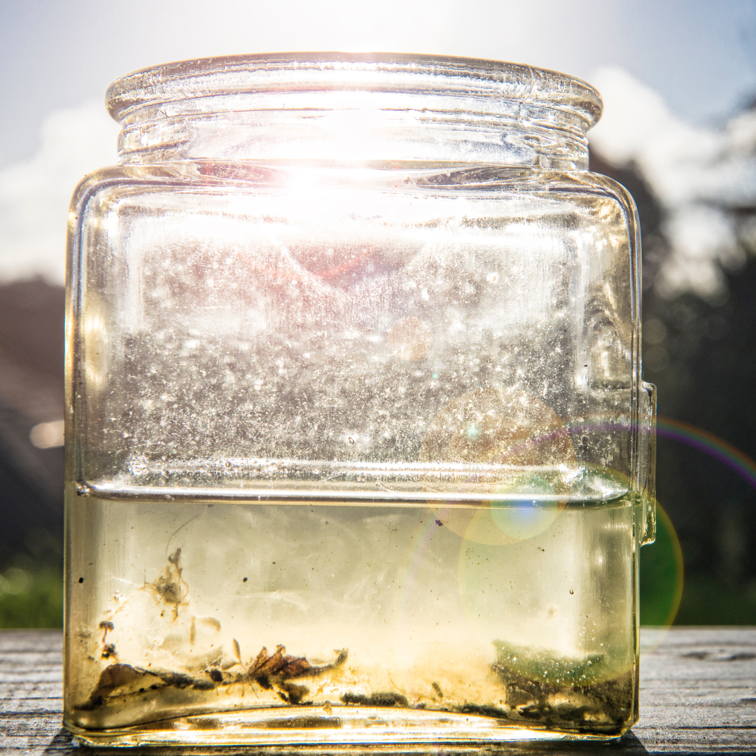 Canada Fails Again: First Nation Communities Without Clean Water - Pam ...